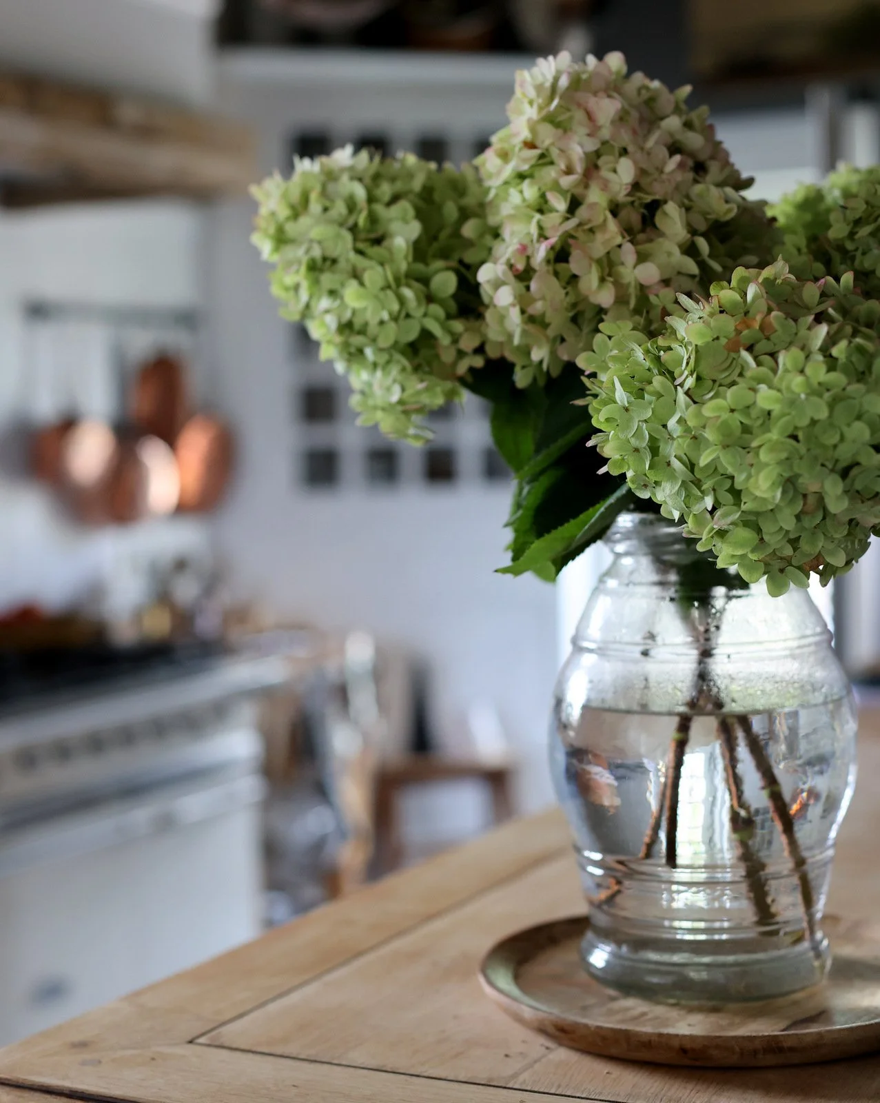 Rabbit Hill French Lifestyle