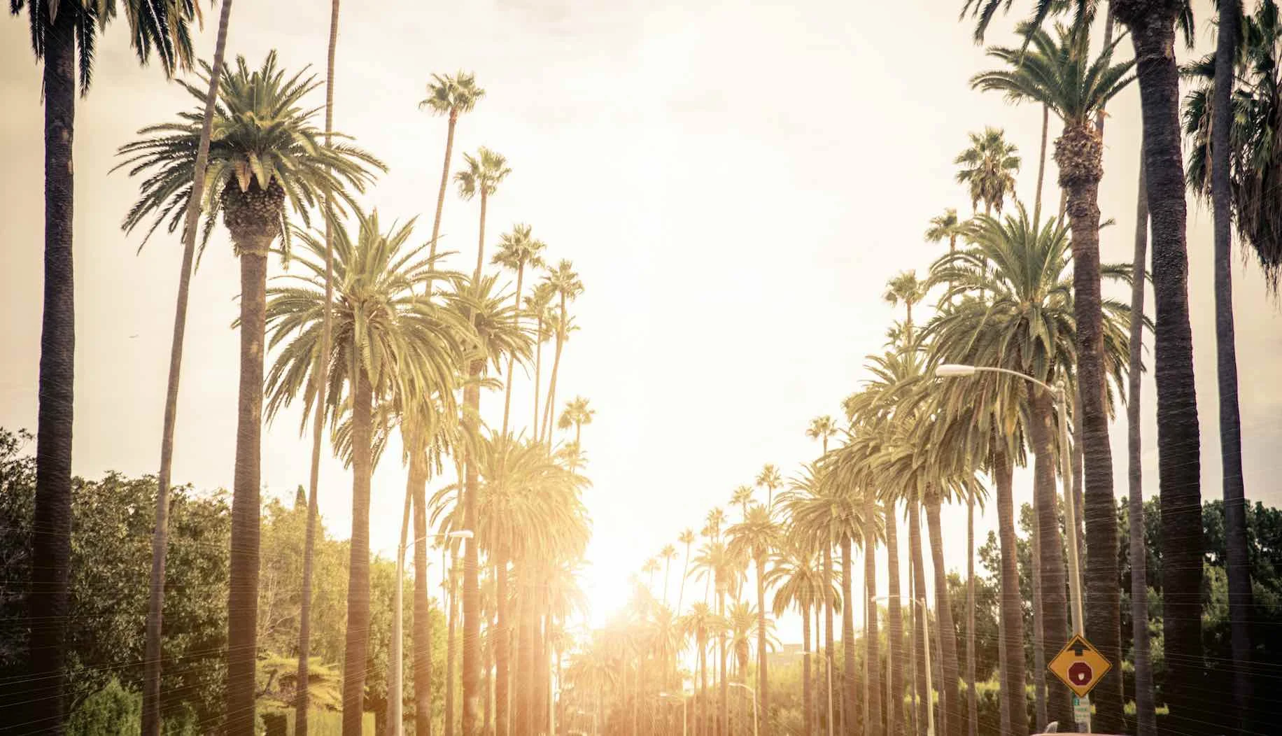 The Best 35 Los Angeles Hotel Views — The Most Perfect View