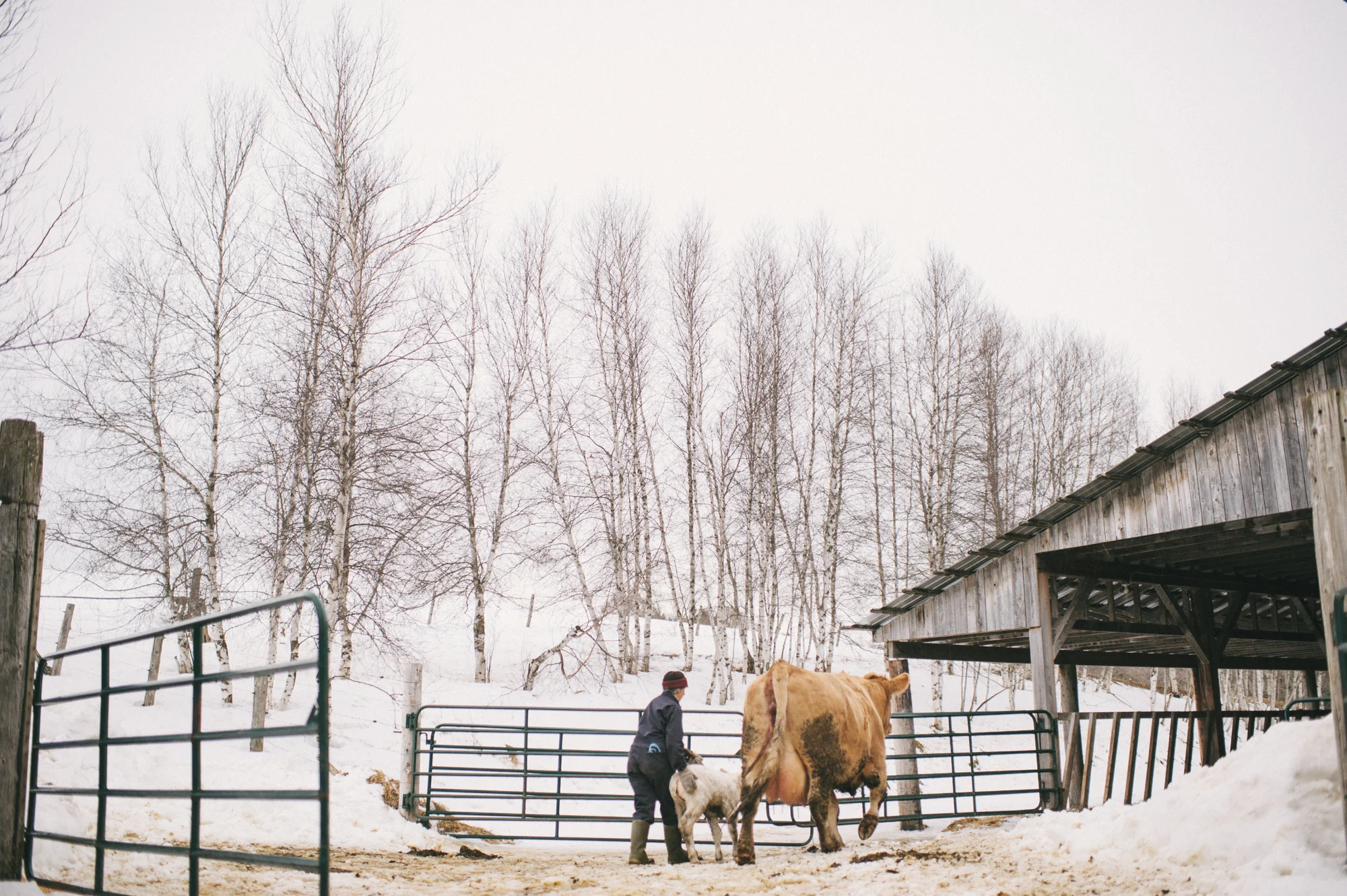 Meet Organic Maple Syrup Producers Cosman & Webb From Quebec