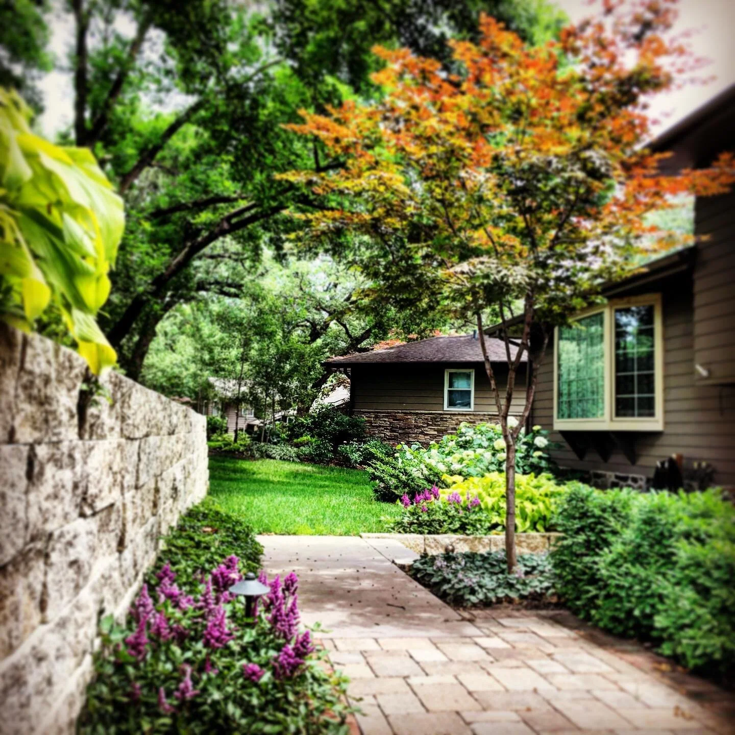 Pergolas | Arbors | Trellis | Custom Decks | Cedar | Composite | Steel ...