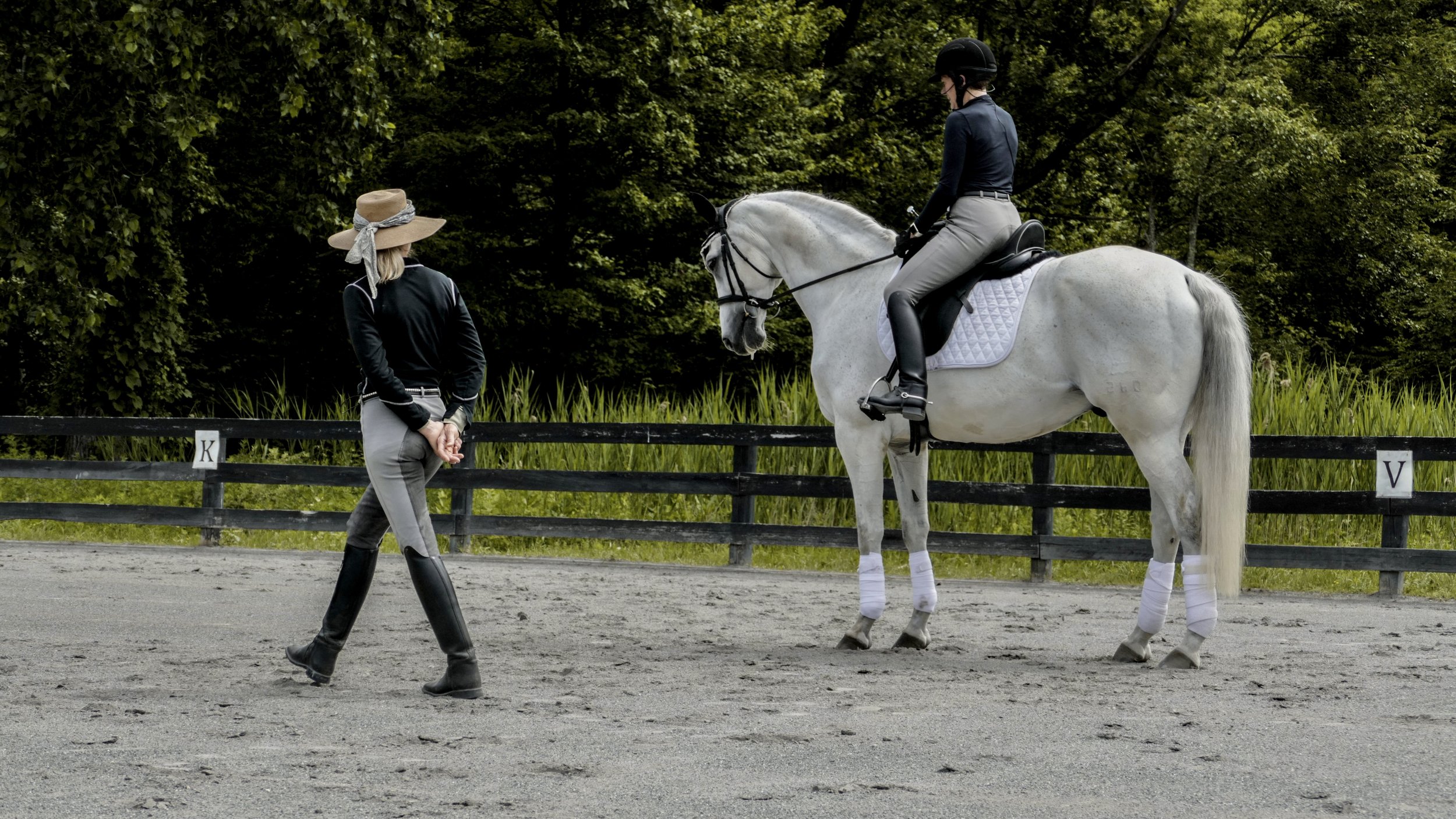 Information — Top Focus Farm