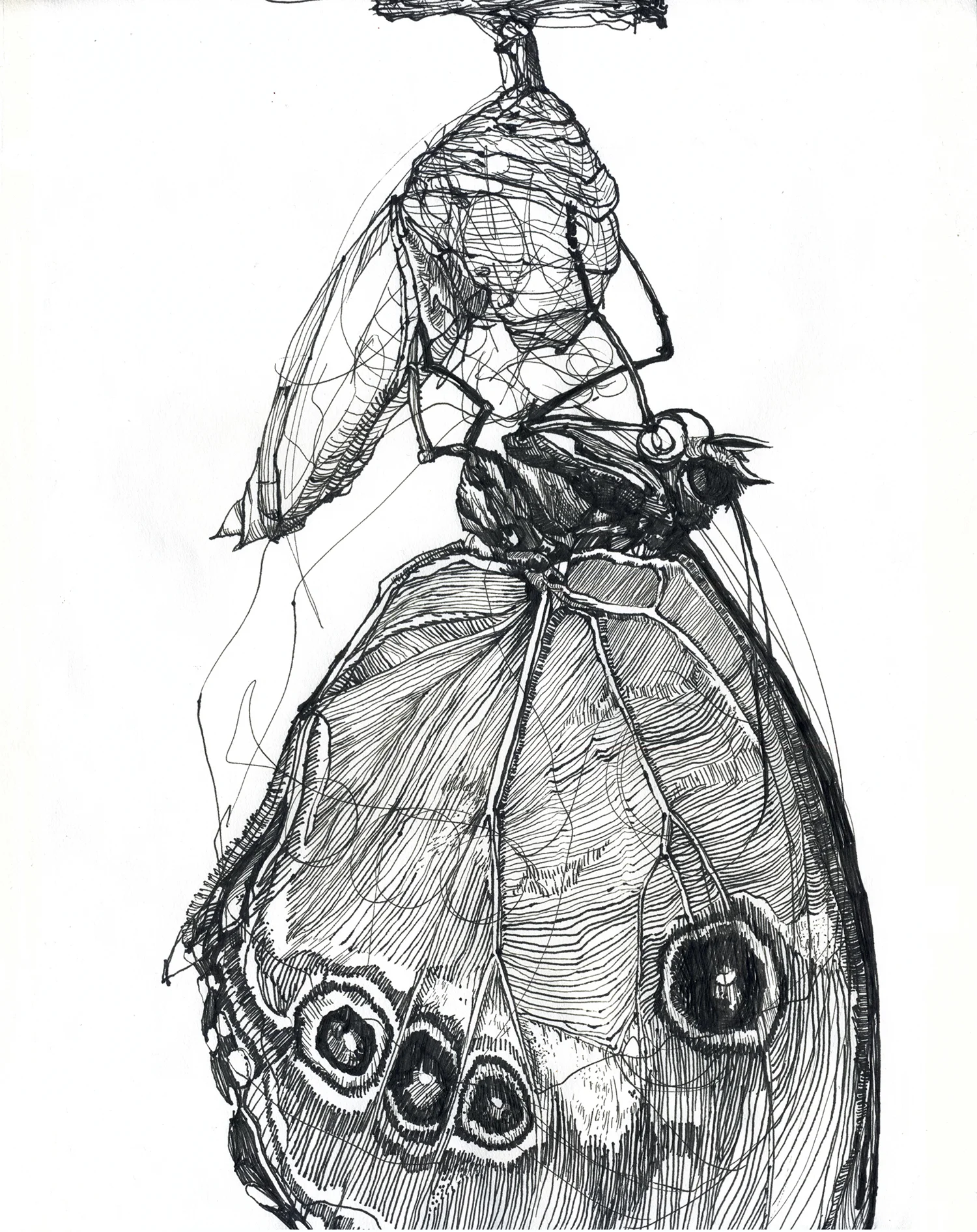 Metamorphosis (Butterfly Drawing) — Melissa Carmon