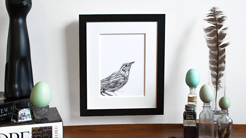 Natural History Collection — Melissa Carmon