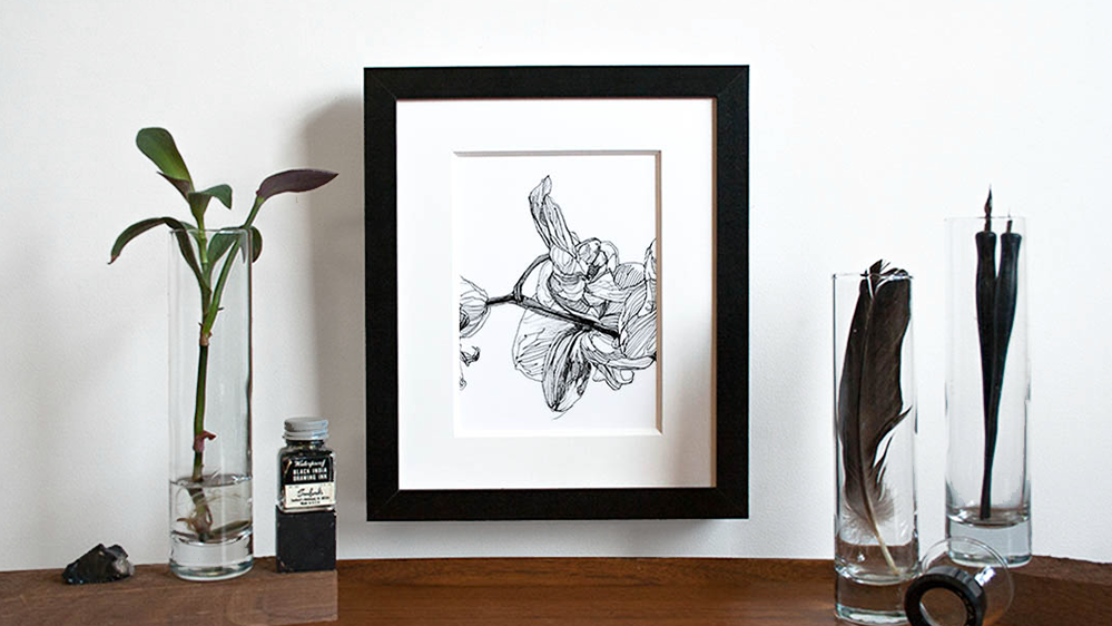 Natural History Collection — Melissa Carmon