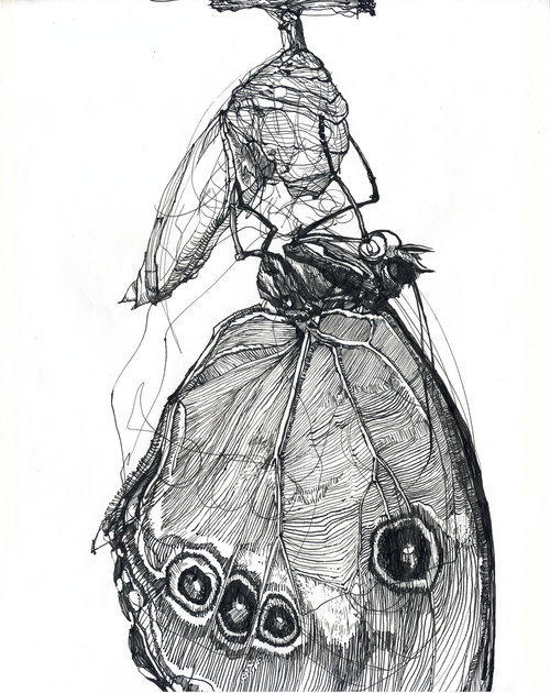 Natural History Collection — Melissa Carmon