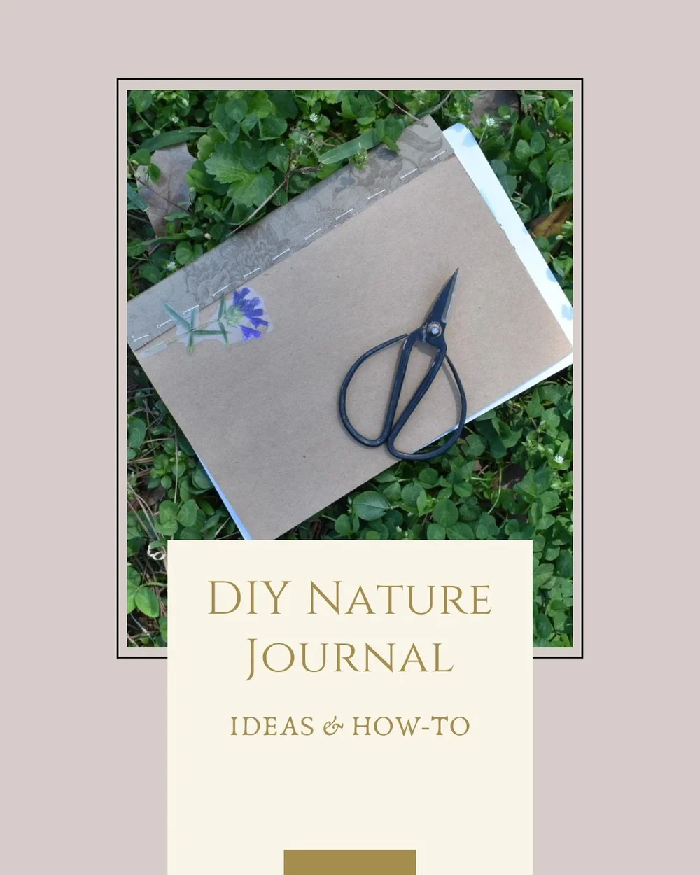 How to Start a Nature Journal with Kids: A Simple Guide to Outdoor ...