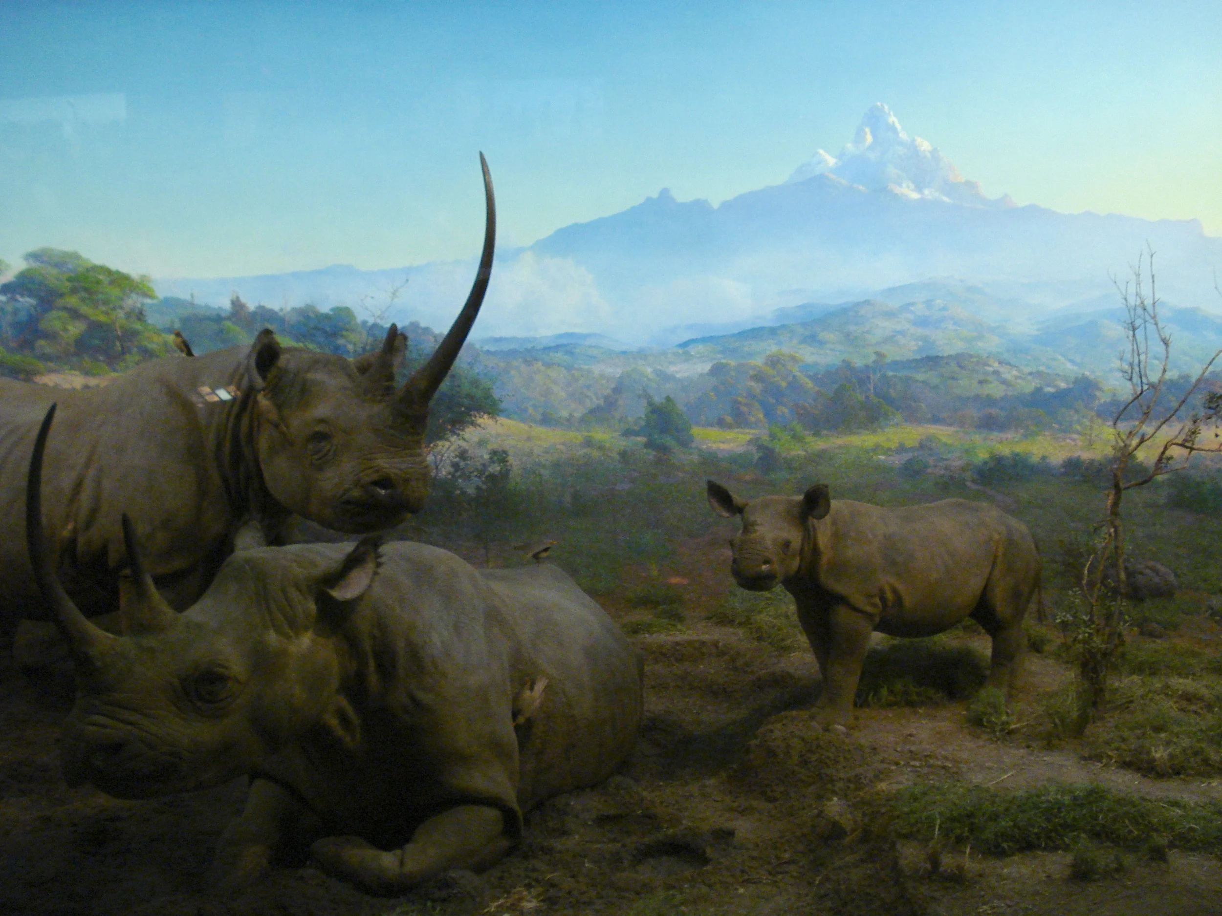 Fact or fiction? test your eyes. — Toby Wright