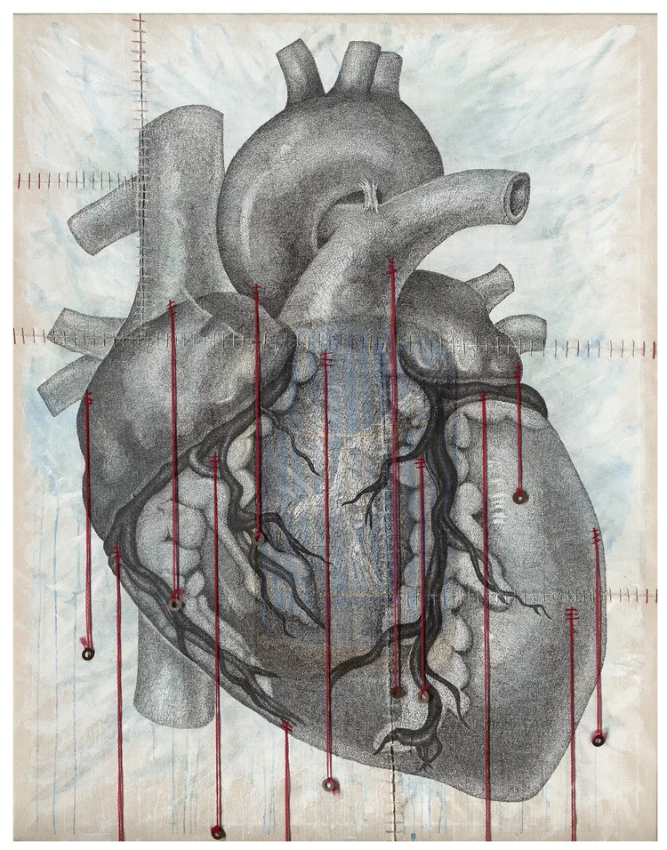 Heartstrings Human Heart