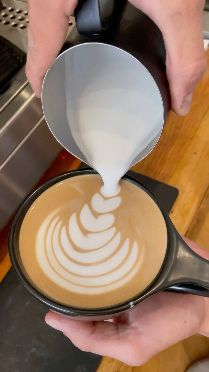 North Perk Coffee | Coffee Shop | Petoskey, MI