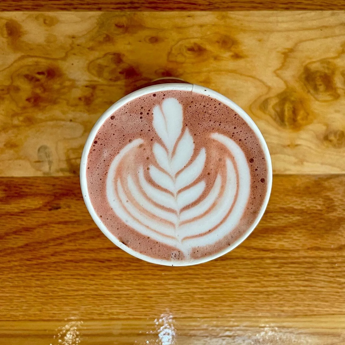 North Perk Coffee | Coffee Shop | Petoskey, MI