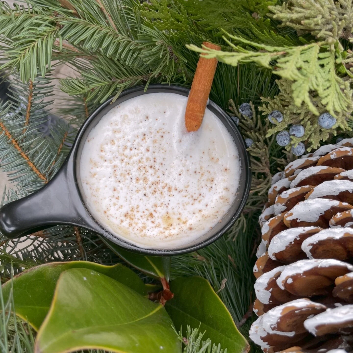 North Perk Coffee | Coffee Shop | Petoskey, MI