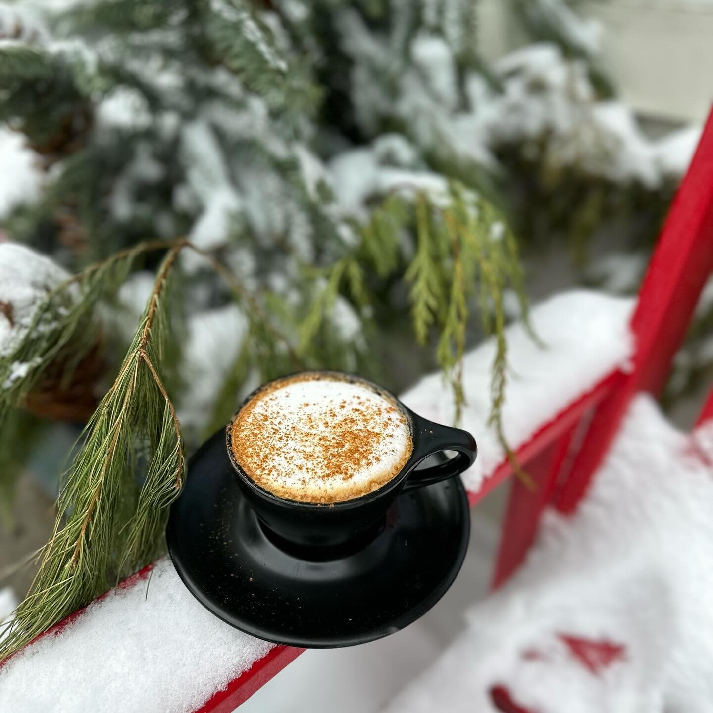 North Perk Coffee | Coffee Shop | Petoskey, MI