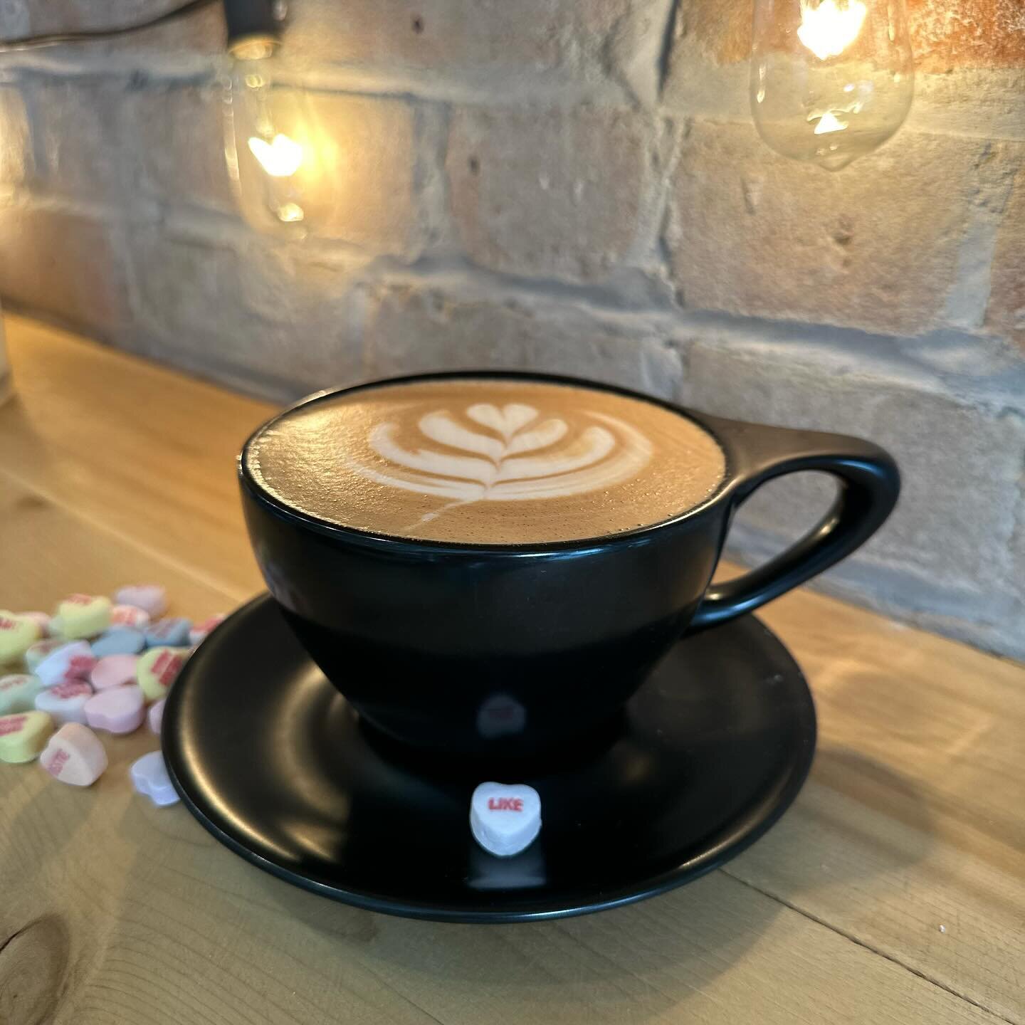 North Perk Coffee | Coffee Shop | Petoskey, MI