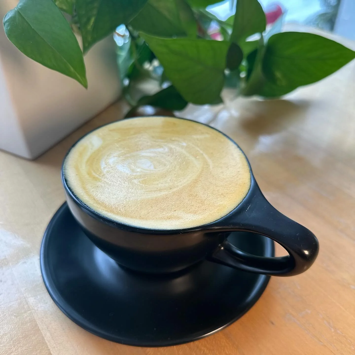 North Perk Coffee | Coffee Shop | Petoskey, MI