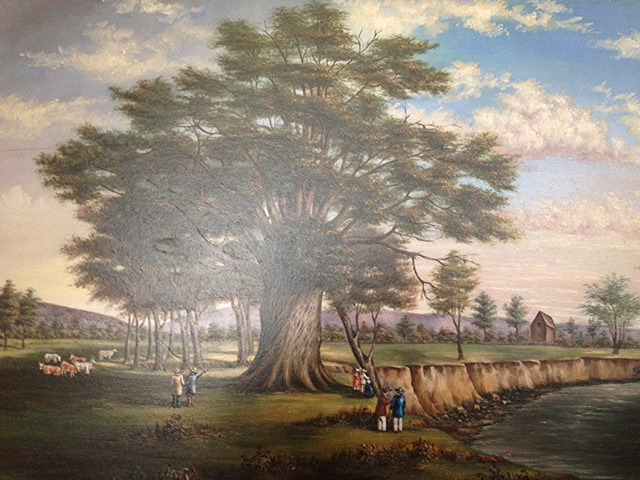 Mt Morris Dam — Livingston County Historical Society Museum