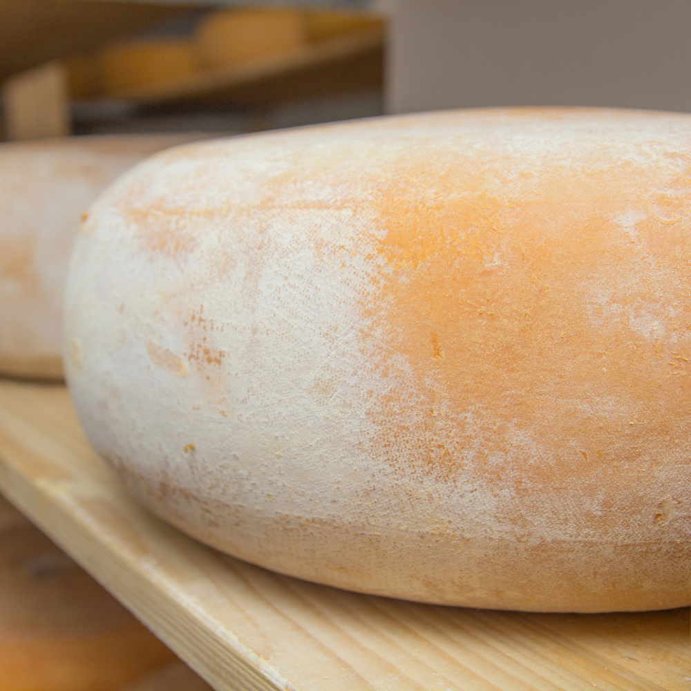 Our Events — Livingston County Historical Society Museum