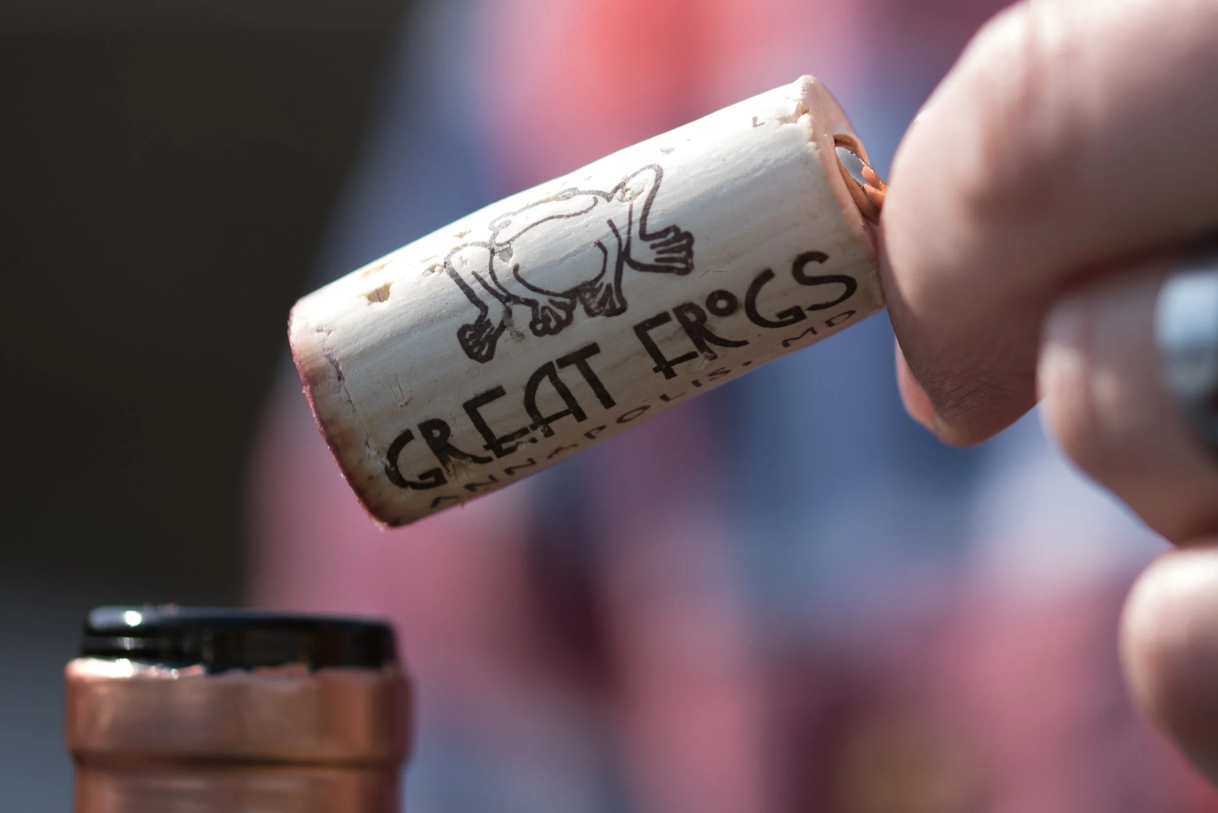 Gallery — — Great Frogs