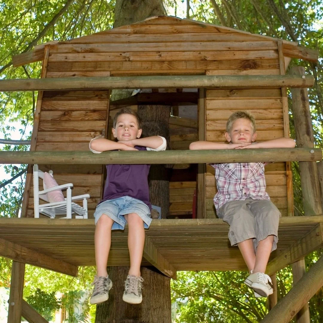 4 Most Beautiful DIY Garden Tree Ideas - Beasley & Henley Design Insights