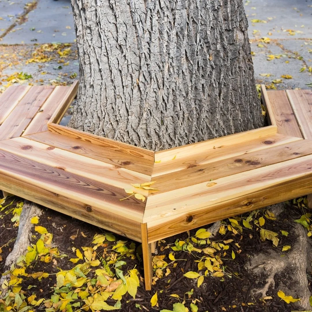 4 Most Beautiful DIY Garden Tree Ideas - Beasley & Henley Design Insights