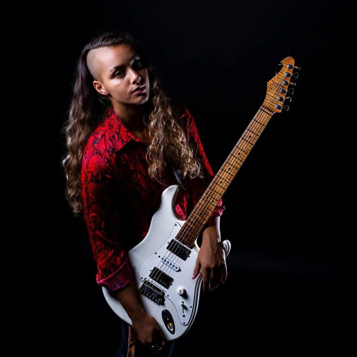 Artists — Sully Guitars®