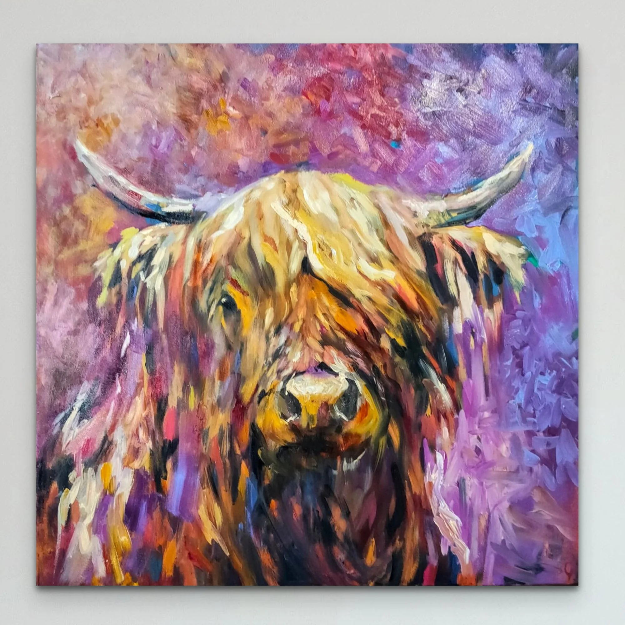 Highland cow painting with purple and pink — Susan Gardner - Fine Art