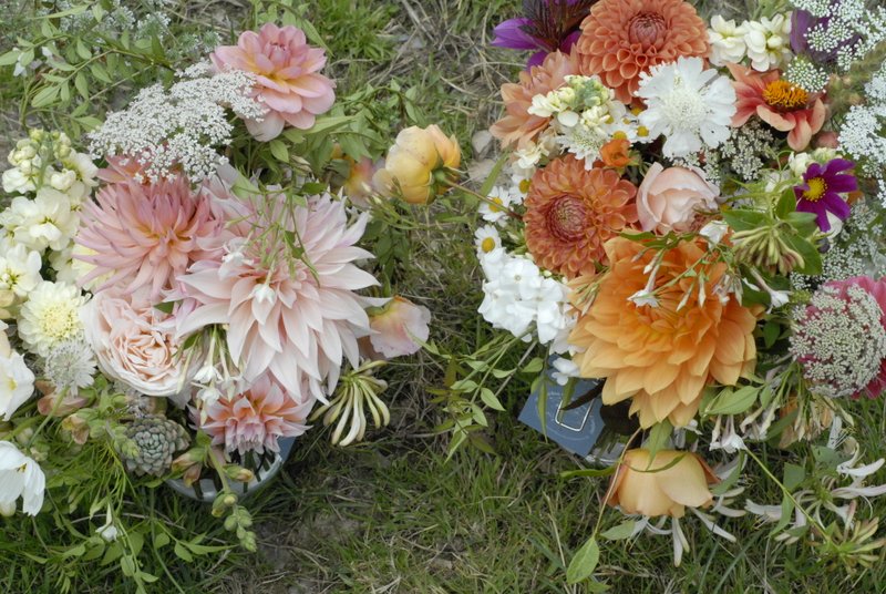 dahlias have never been modern — The Garden Gate Flower Company