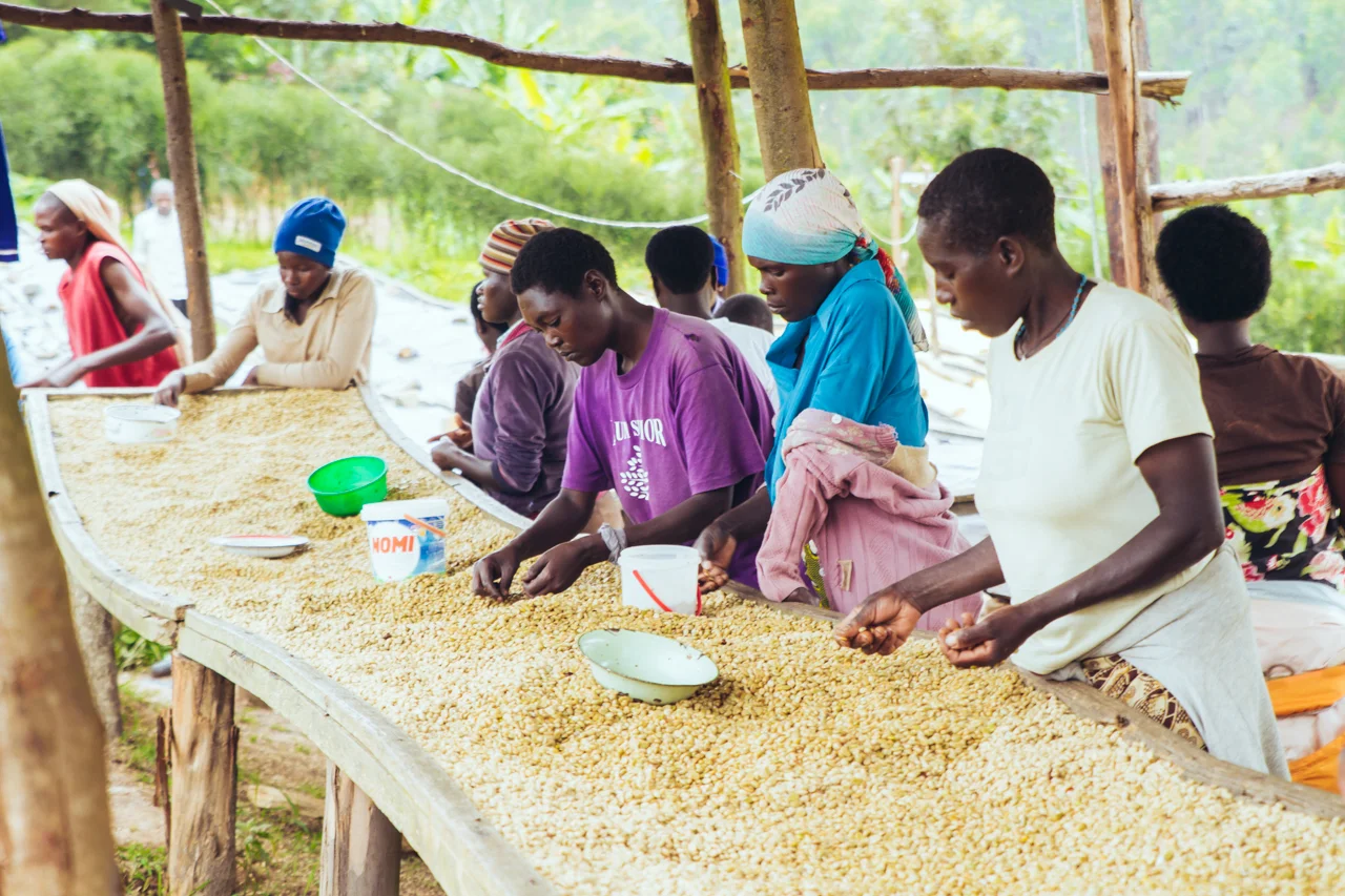 Rushashi, Rwanda — This Side Up