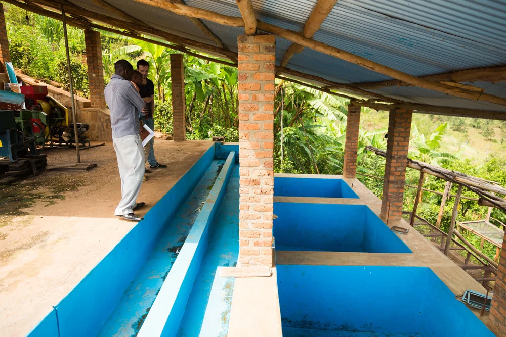 Coko, Rwanda — This Side Up