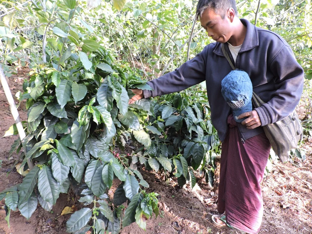 Hopong, Myanmar — This Side Up