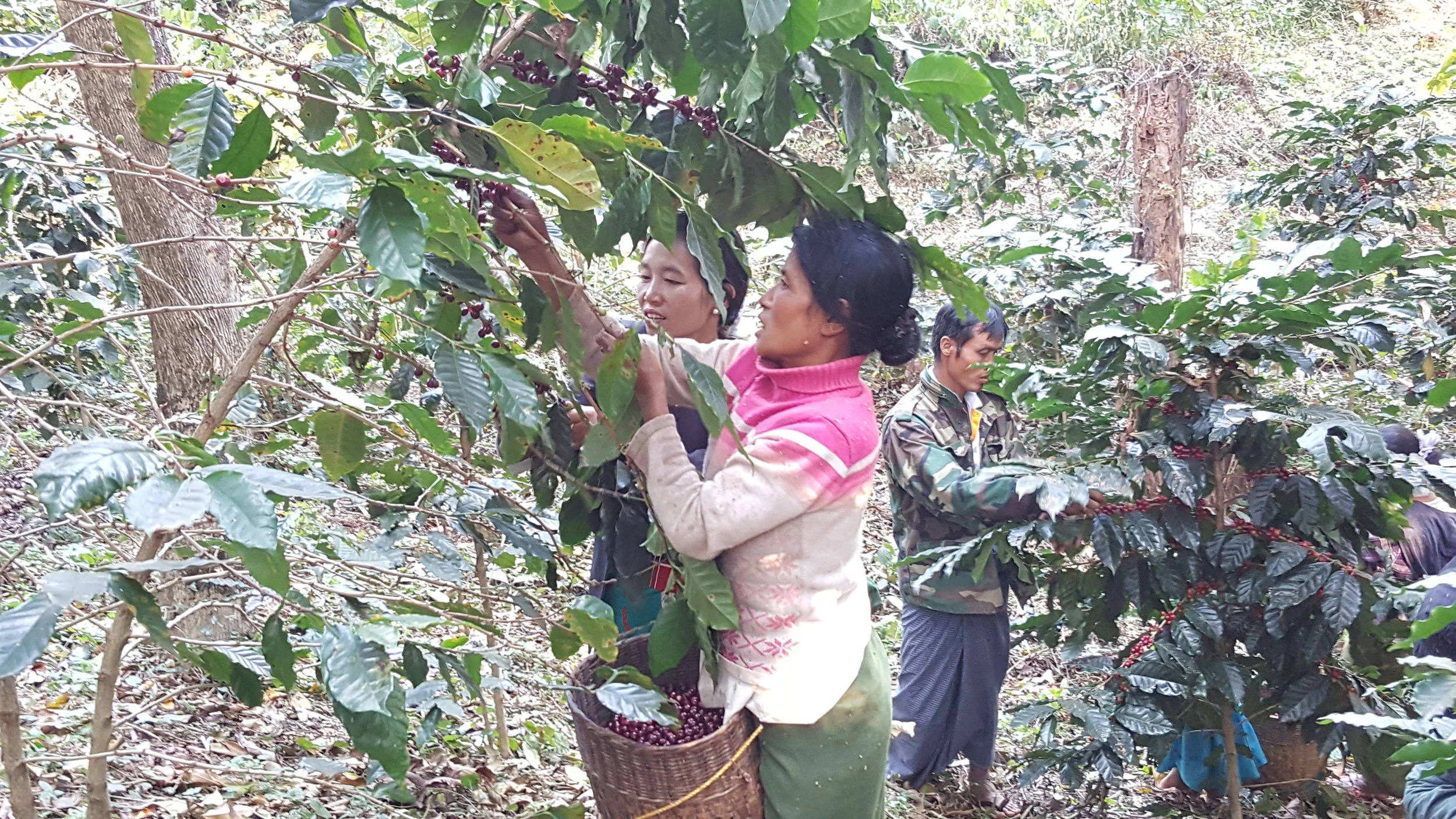 Hopong, Myanmar — This Side Up