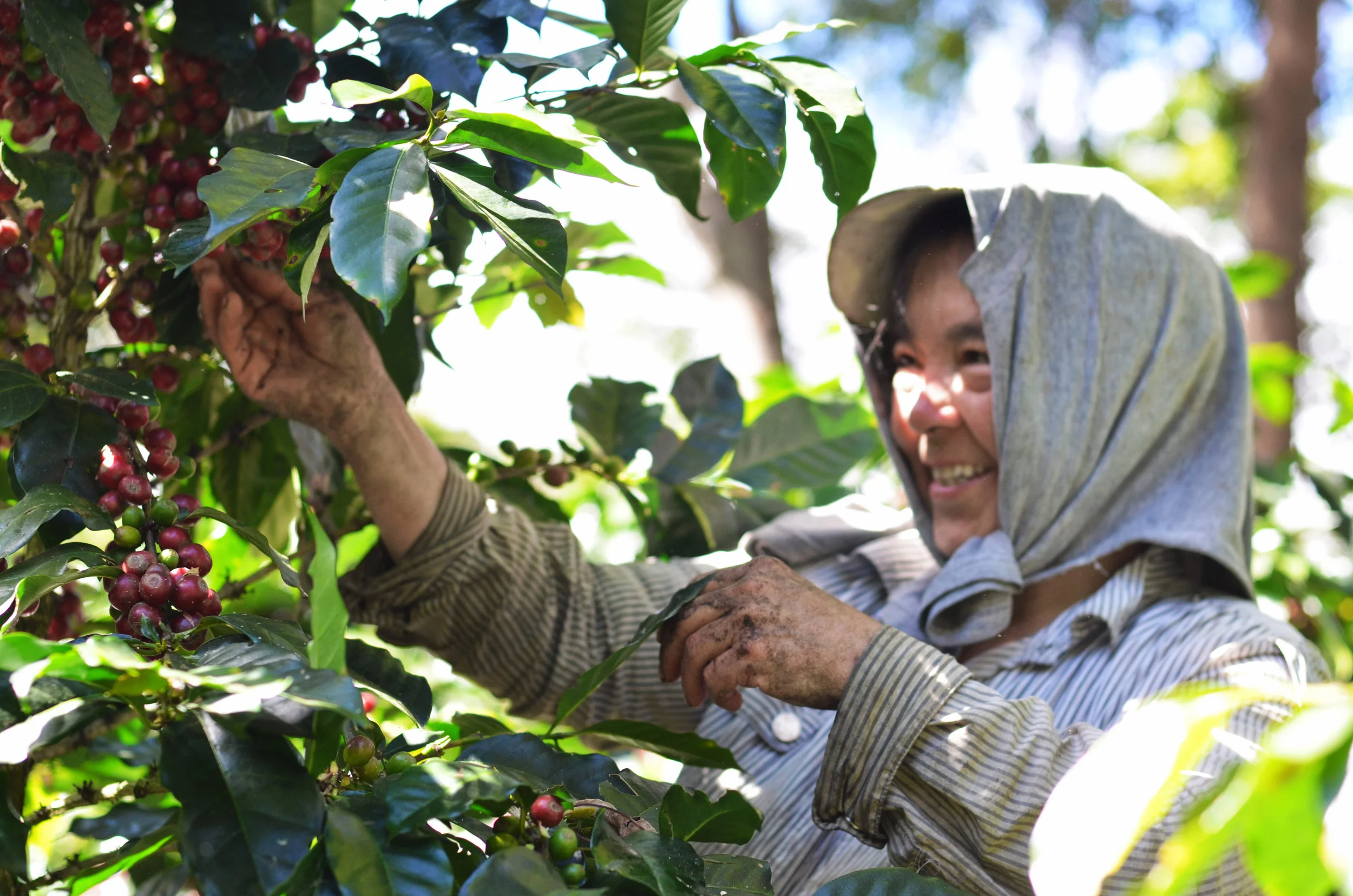 Argote, Colombia — This Side Up