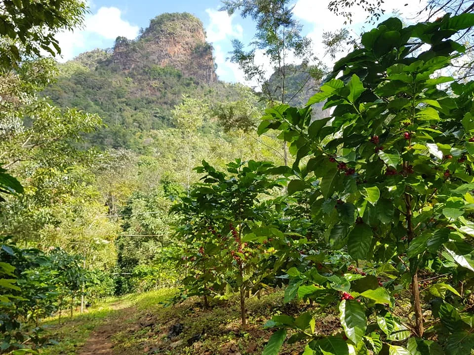 Hopong, Myanmar — This Side Up