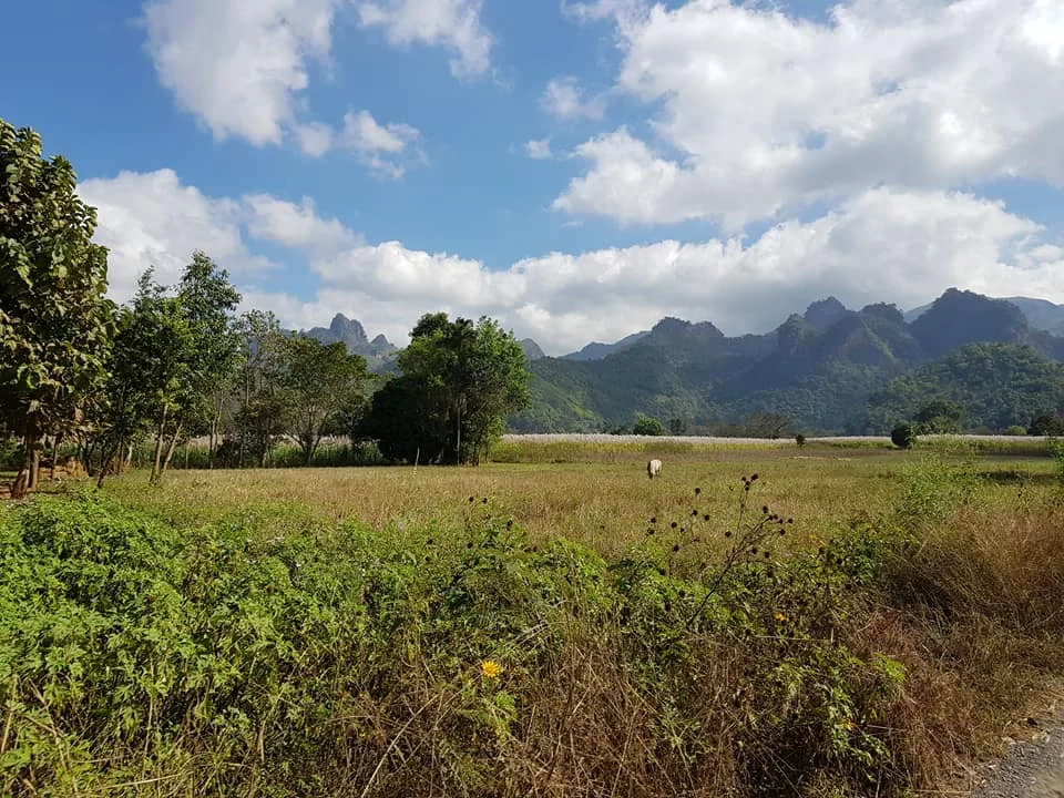 Hopong, Myanmar — This Side Up