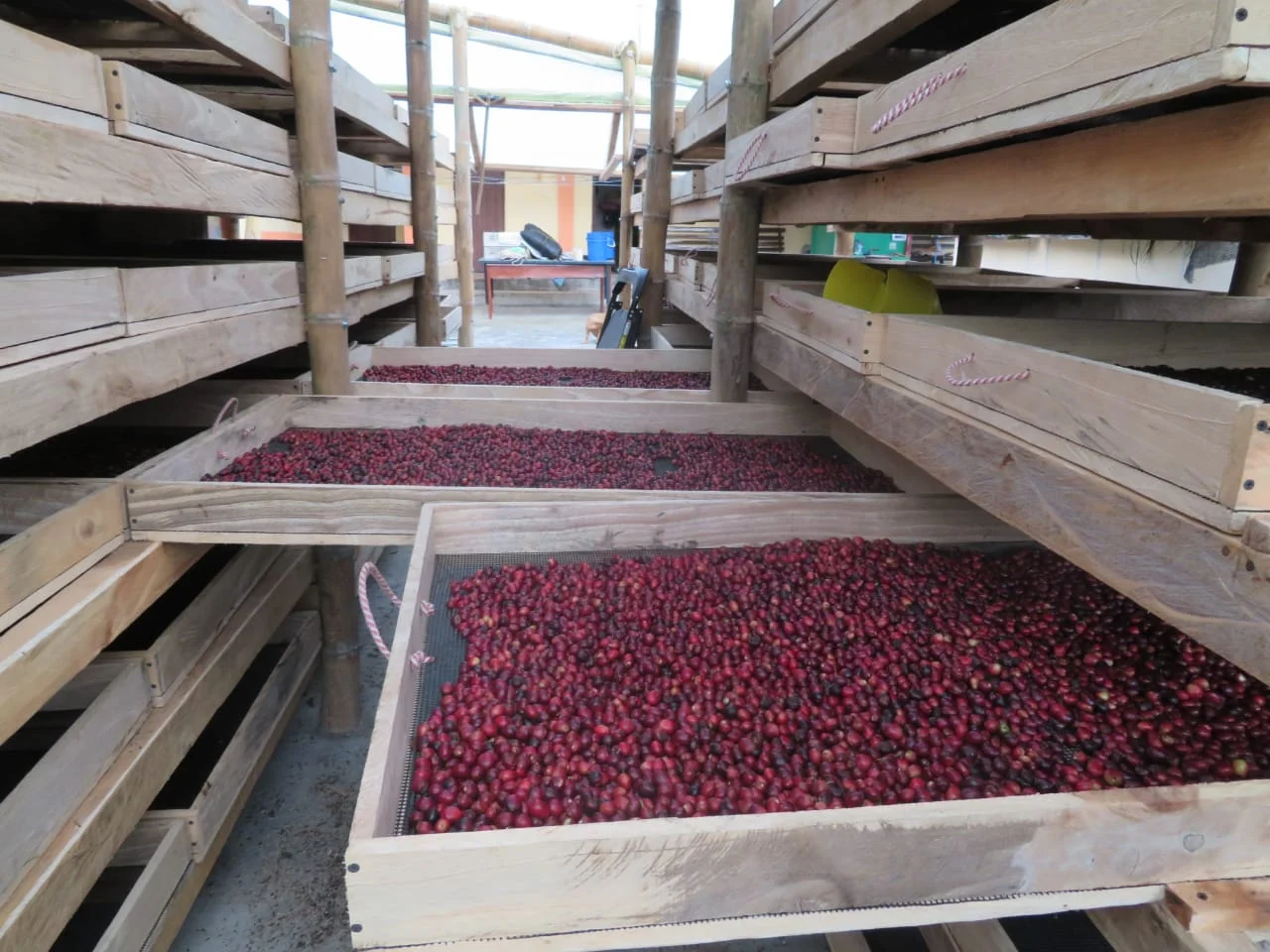 Argote, Colombia — This Side Up