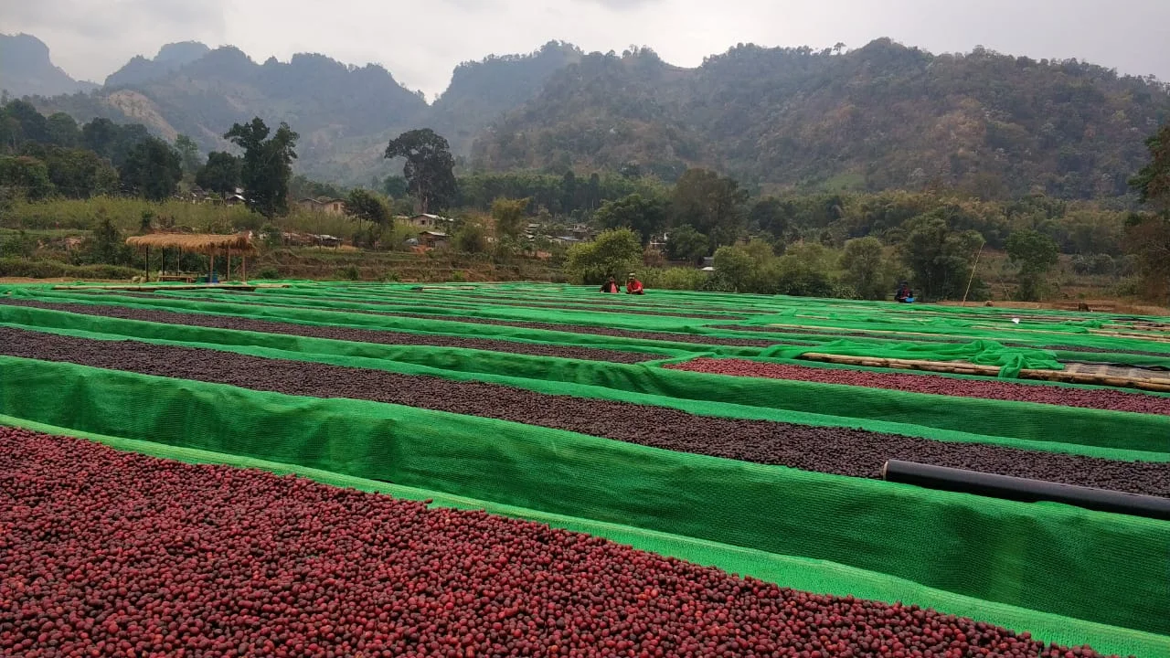 Hopong, Myanmar — This Side Up