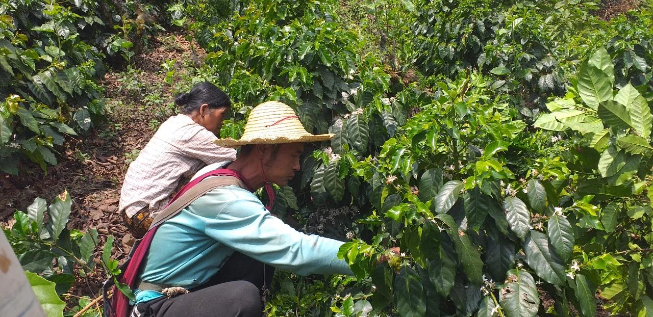 Hopong, Myanmar — This Side Up