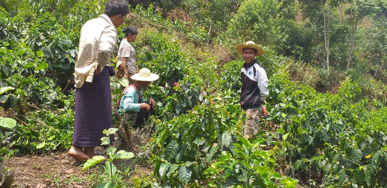 Hopong, Myanmar — This Side Up