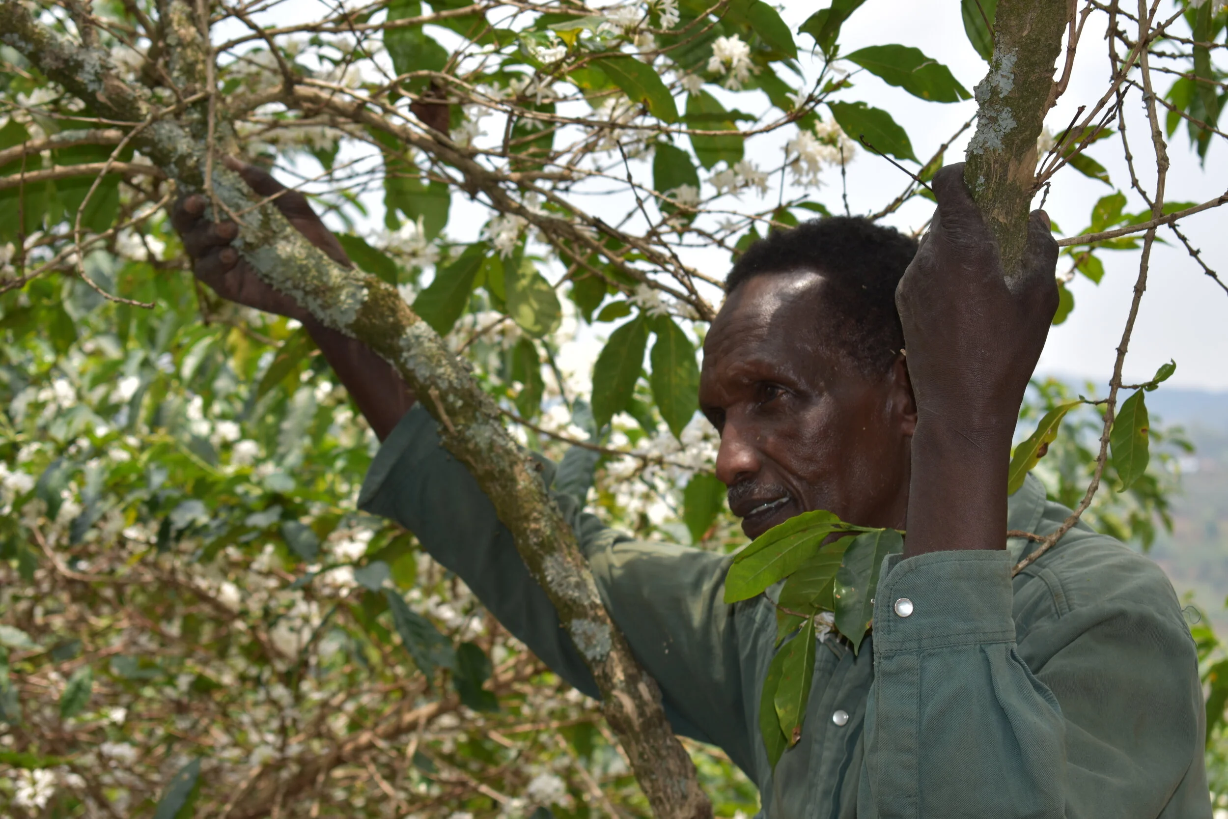 Intango, Rwanda — This Side Up