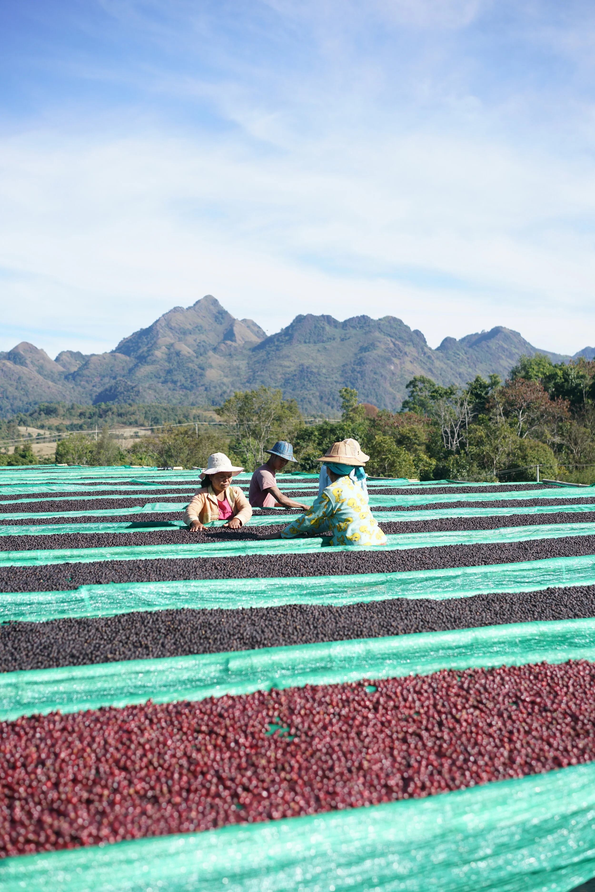Hopong, Myanmar — This Side Up