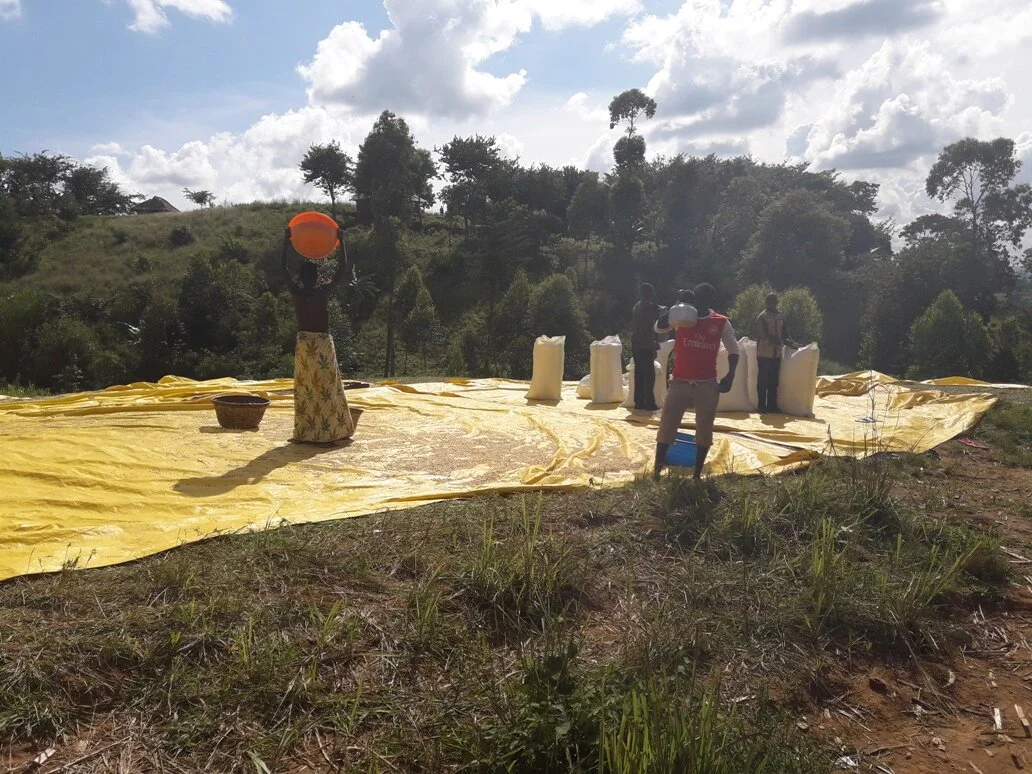 Zombo, Uganda — This Side Up