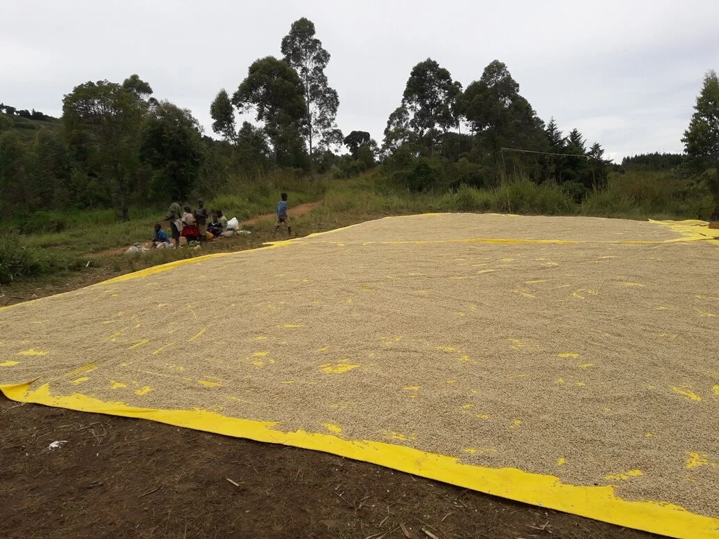 Zombo, Uganda — This Side Up