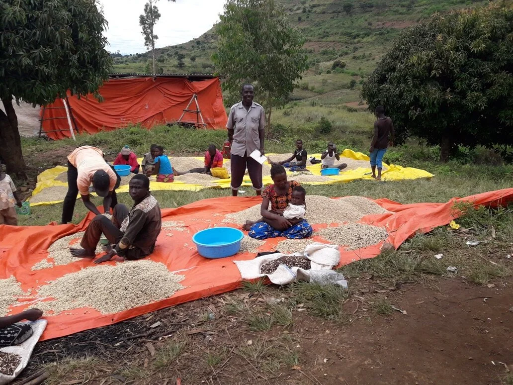 Zombo, Uganda — This Side Up