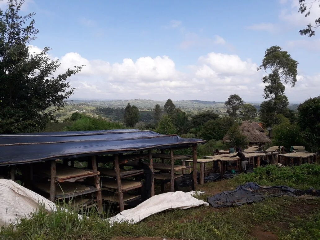 Zombo, Uganda — This Side Up