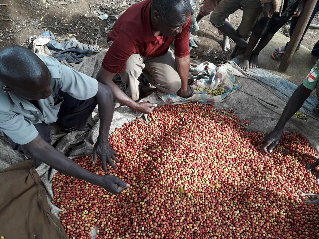 Zombo, Uganda — This Side Up