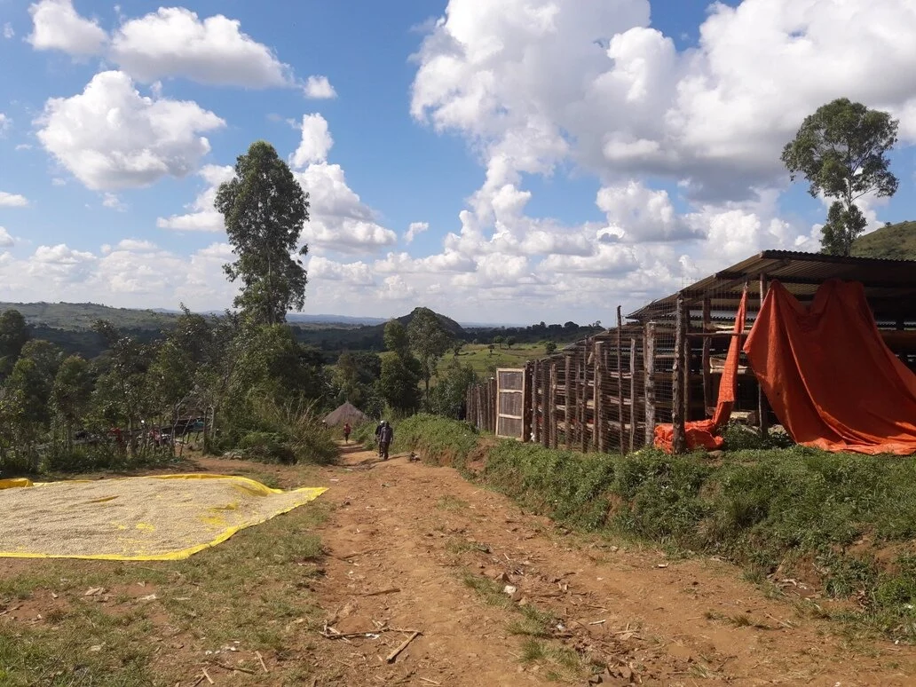 Zombo, Uganda — This Side Up