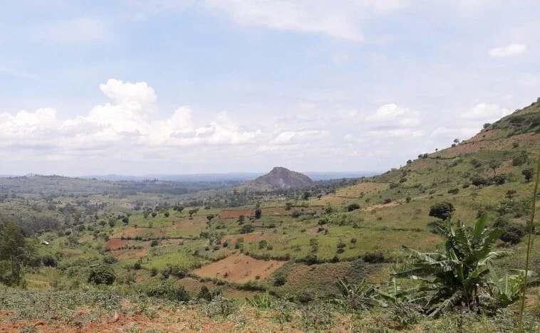 Zombo, Uganda — This Side Up