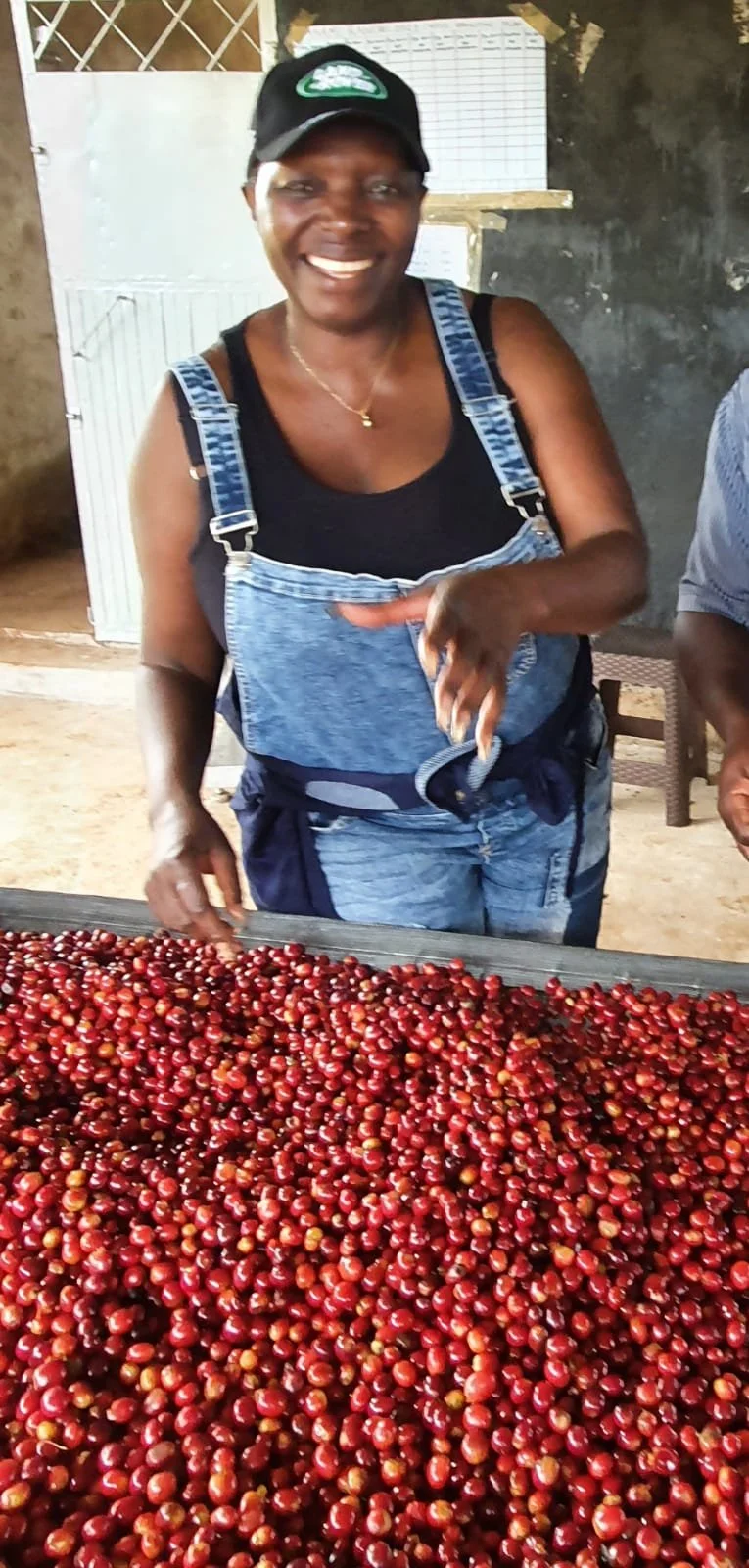 Kenya Sakami — This Side Up