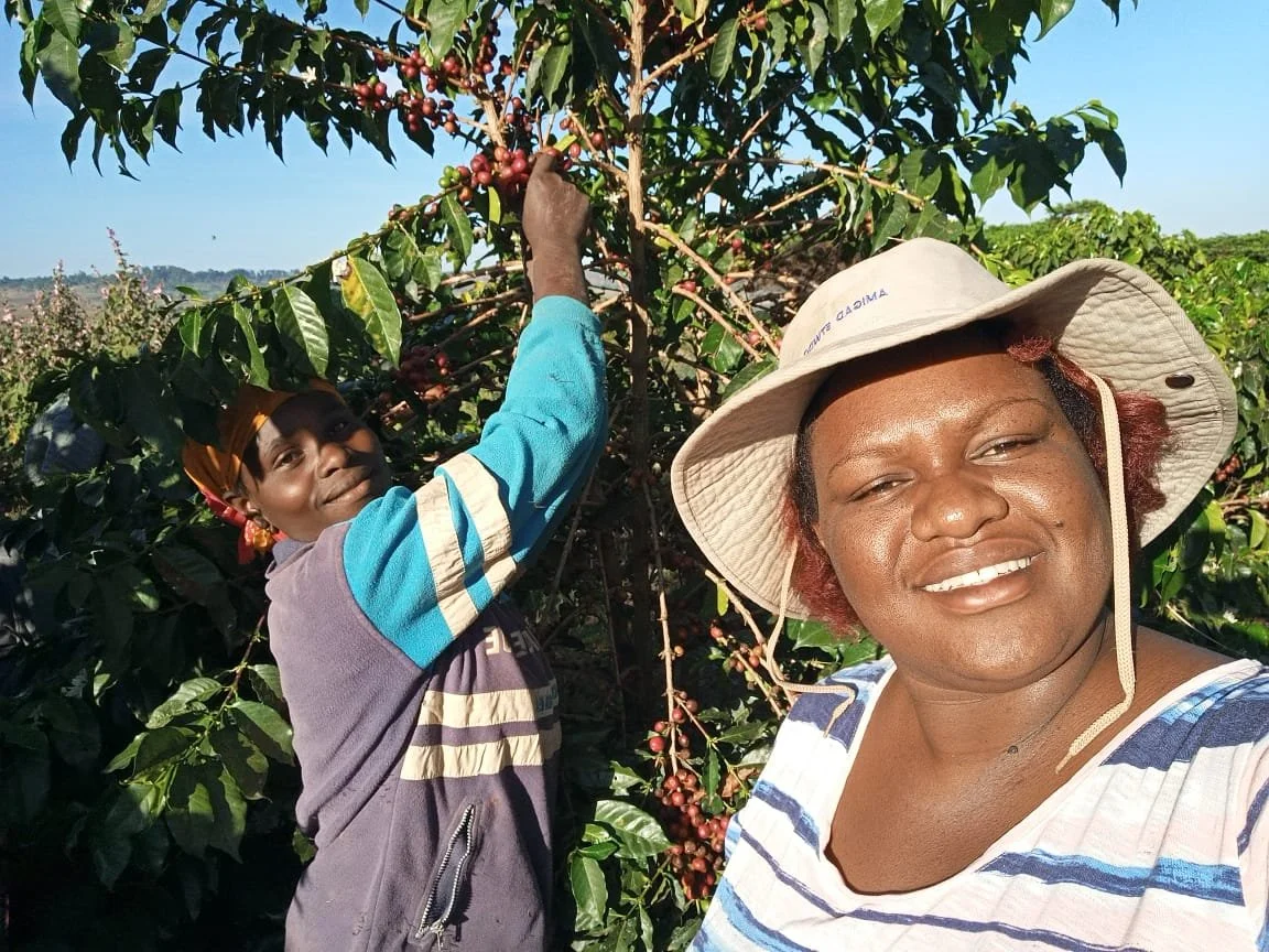 Kenya Sakami — This Side Up