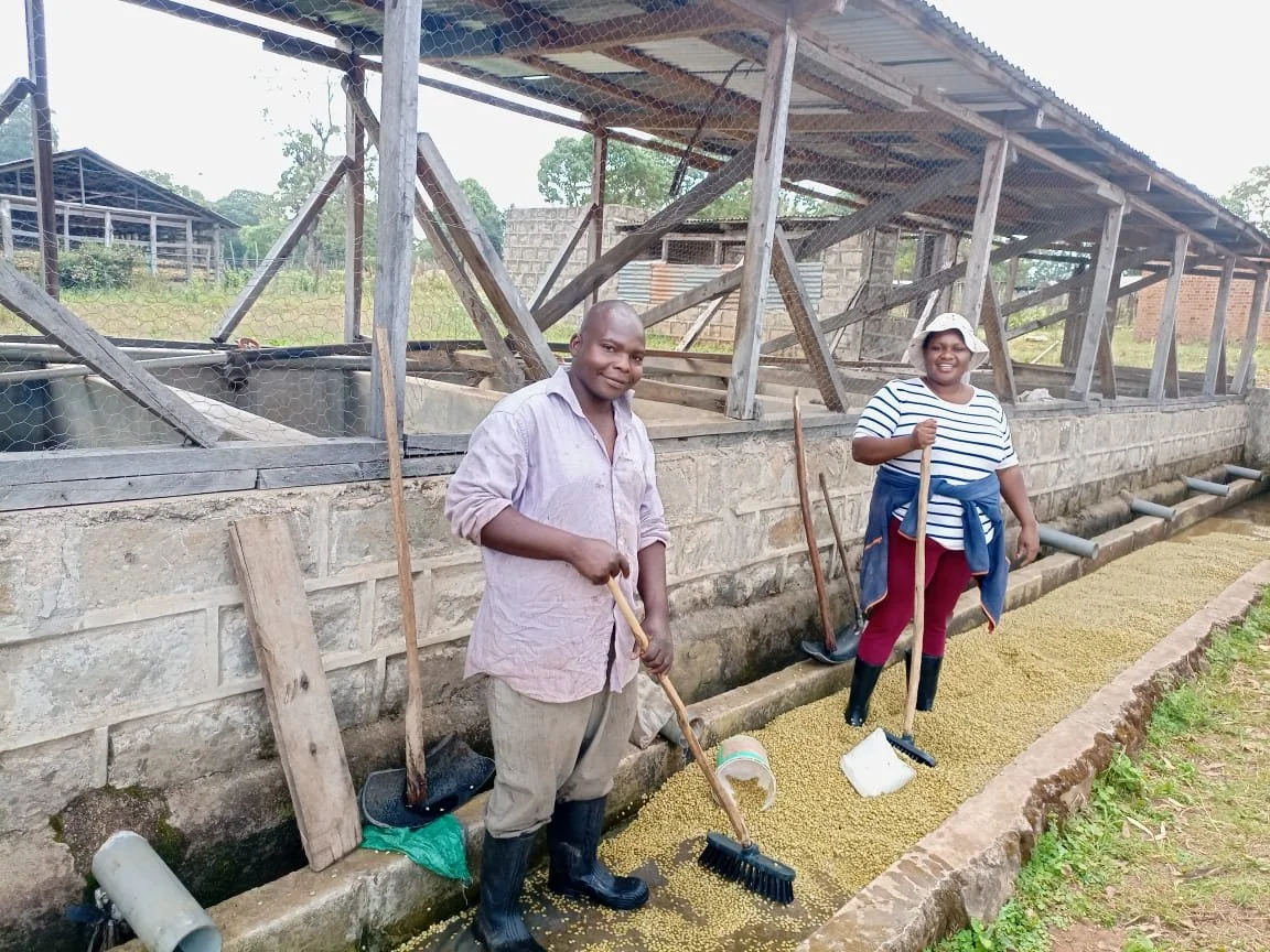 Kenya Sakami — This Side Up