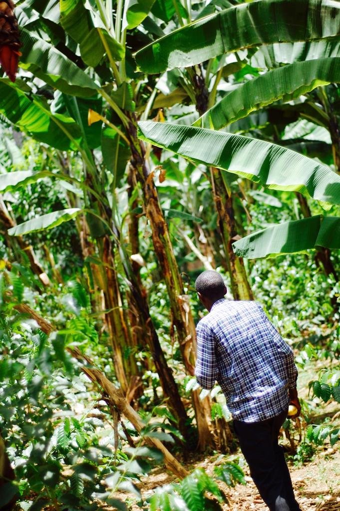 Tanzania Wanza — This Side Up